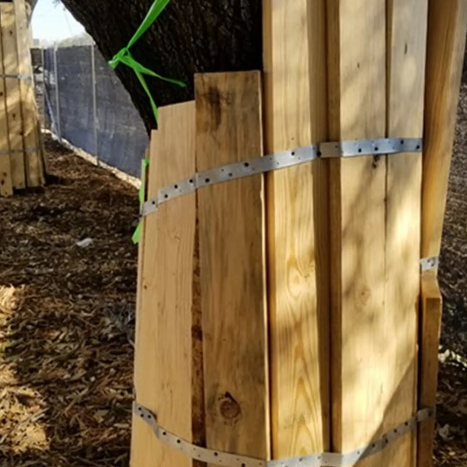 Construction and Trees | Arborilogical