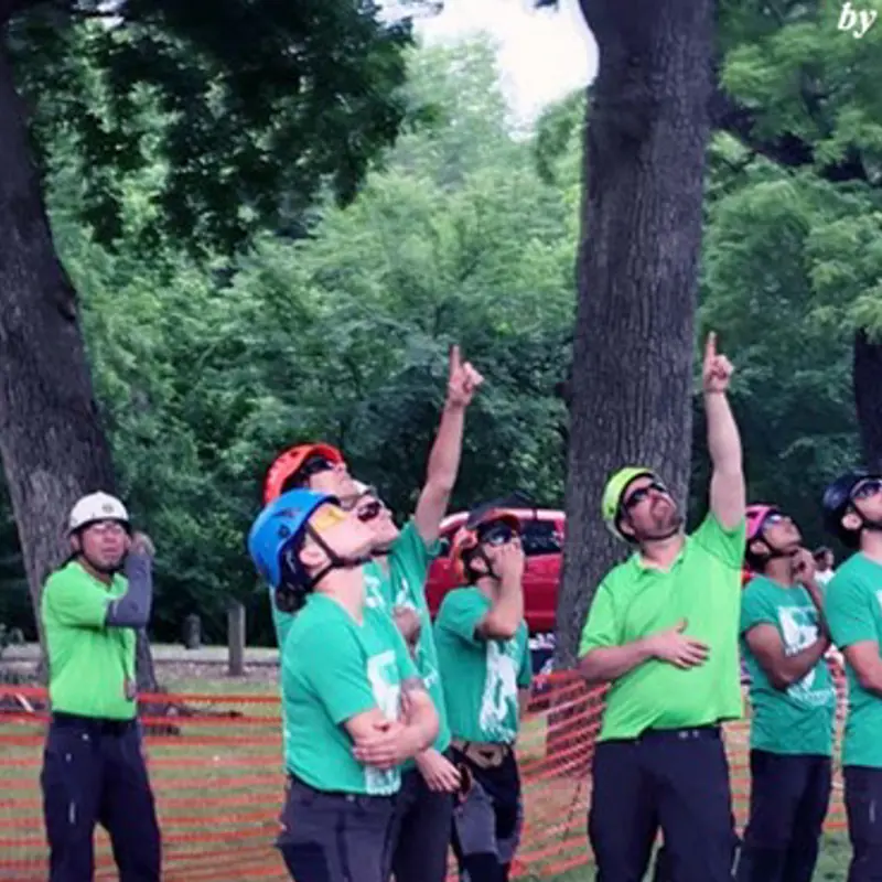 Tree Climbing | Arborilogical