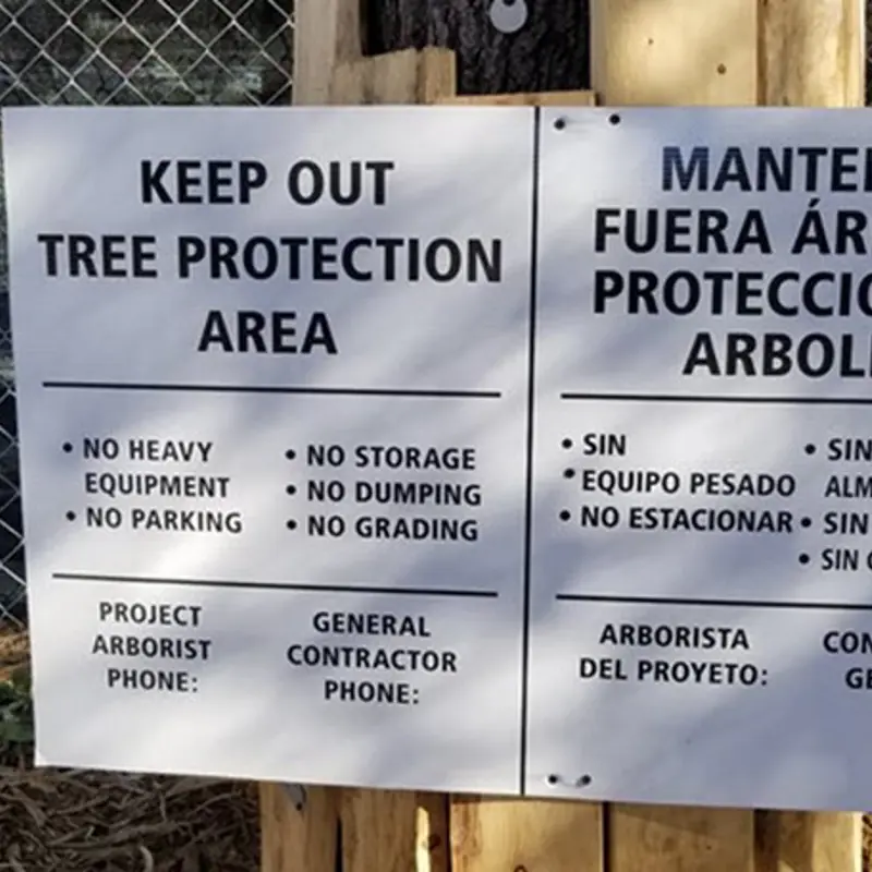 Construction and Trees | Arborilogical