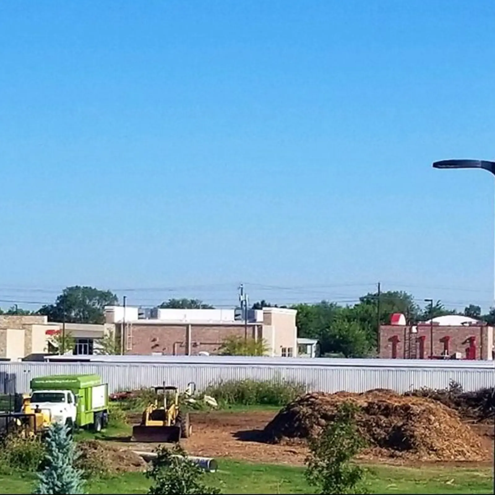 Benefits of Trees | Arborilogical