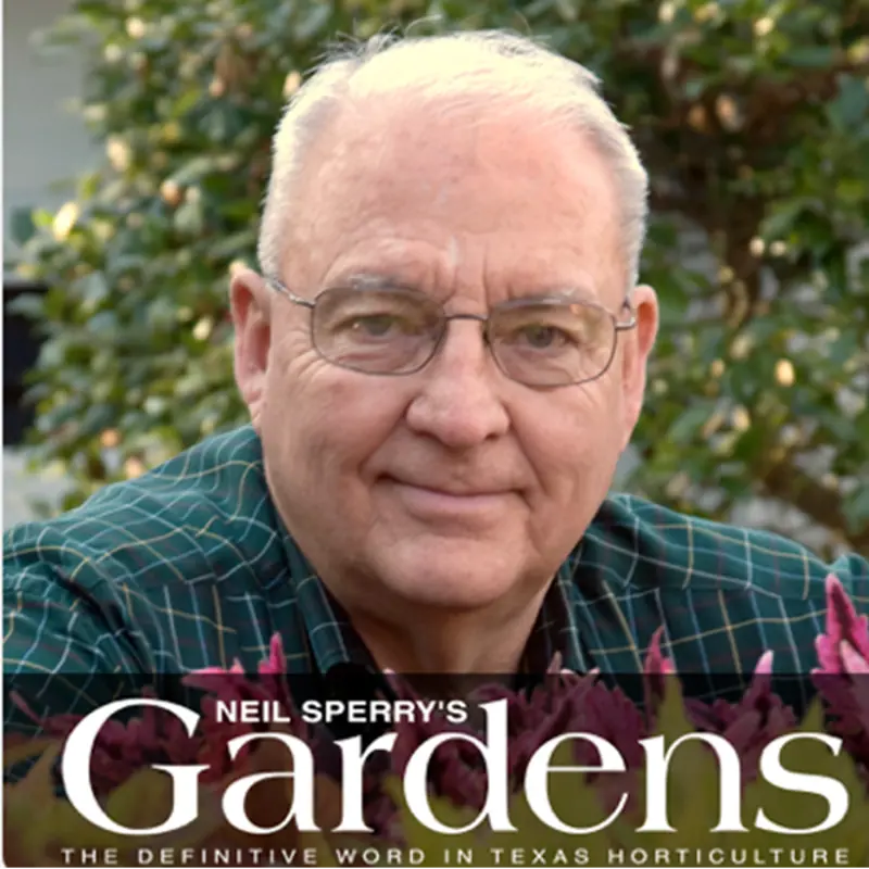 Iron Deficiency | Arborilogical