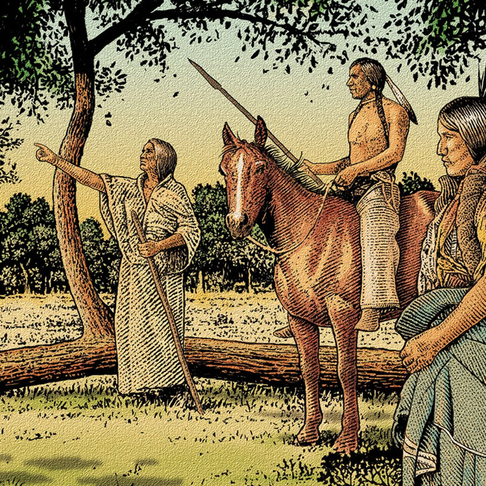 Indian Marker Trees | Arborilogical